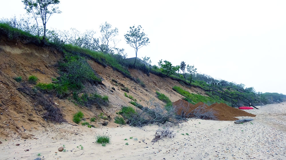 Bluff Restoration – First Coastal