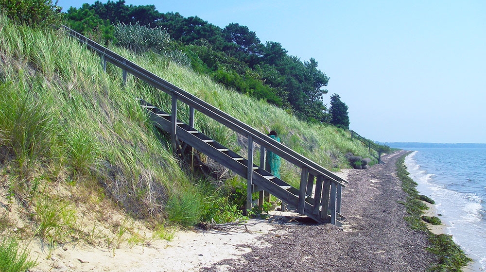 Bluff Restoration – First Coastal