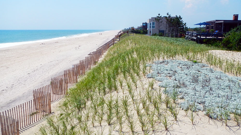 Dune Maintenance & Vegetation – First Coastal